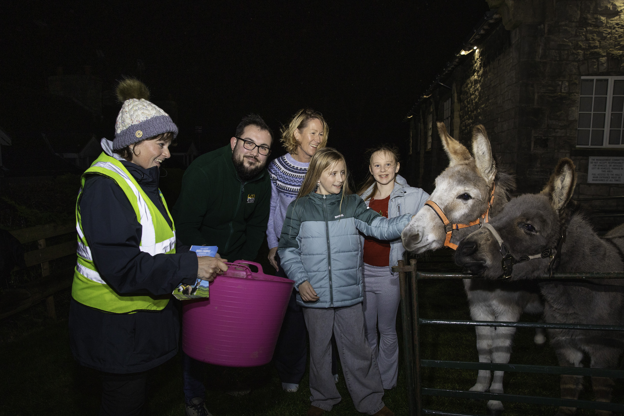 Donkey delight as rescue duo bring festive magic to Henllan school fair ...